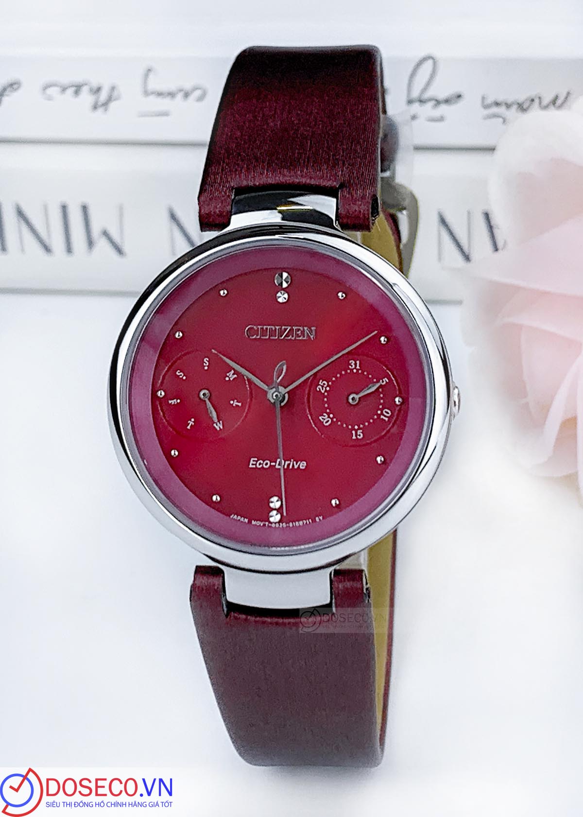 Citizen Eco-Drive FD1100-10X